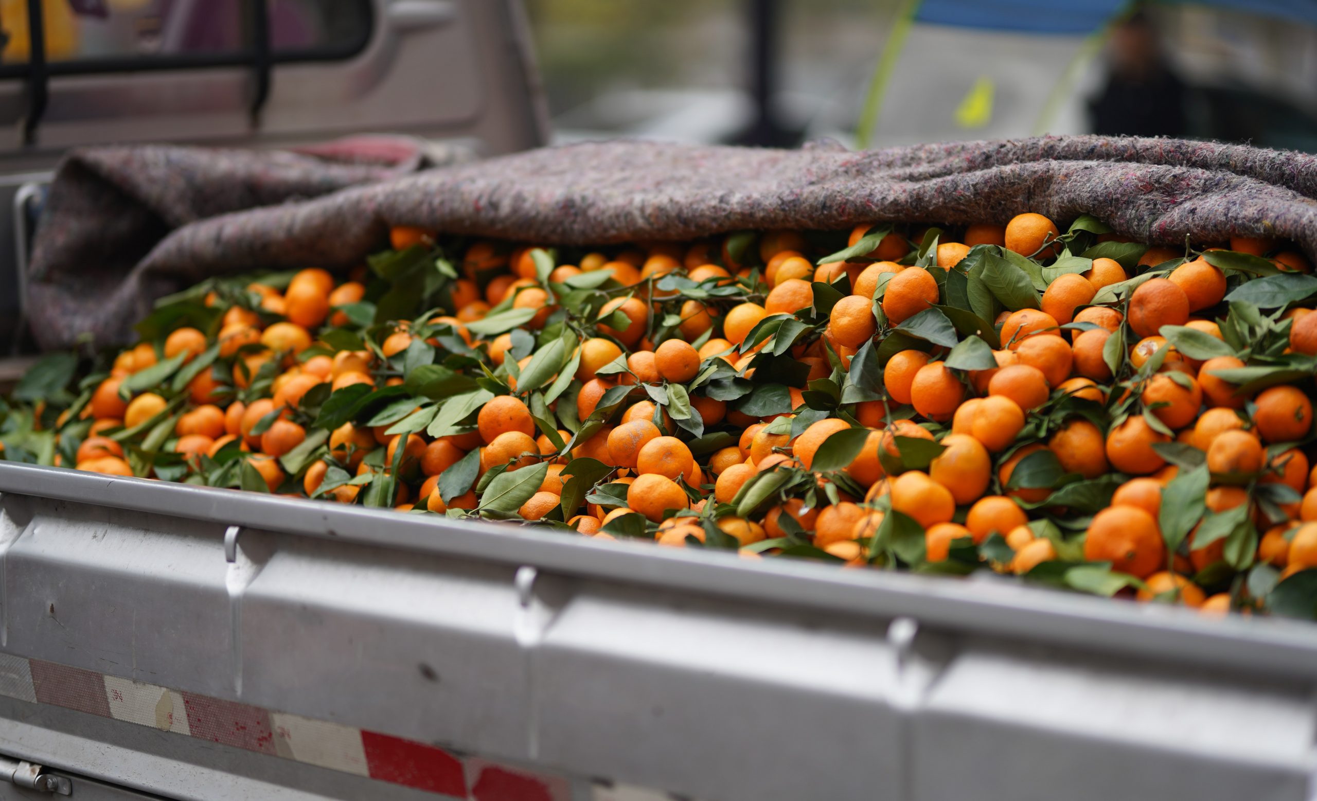 Increased U.S. Demand Improves Performance of Brazilian Orange Juice ...