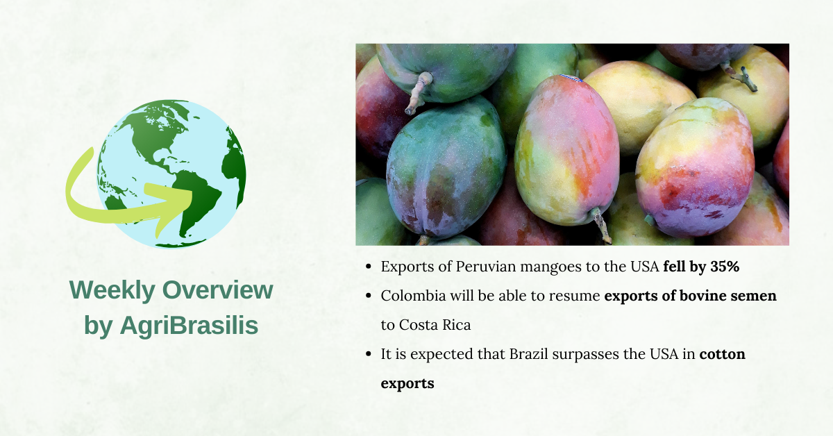 4909 Increase In Cases Of Asian Soybean Rust In Brazil 
