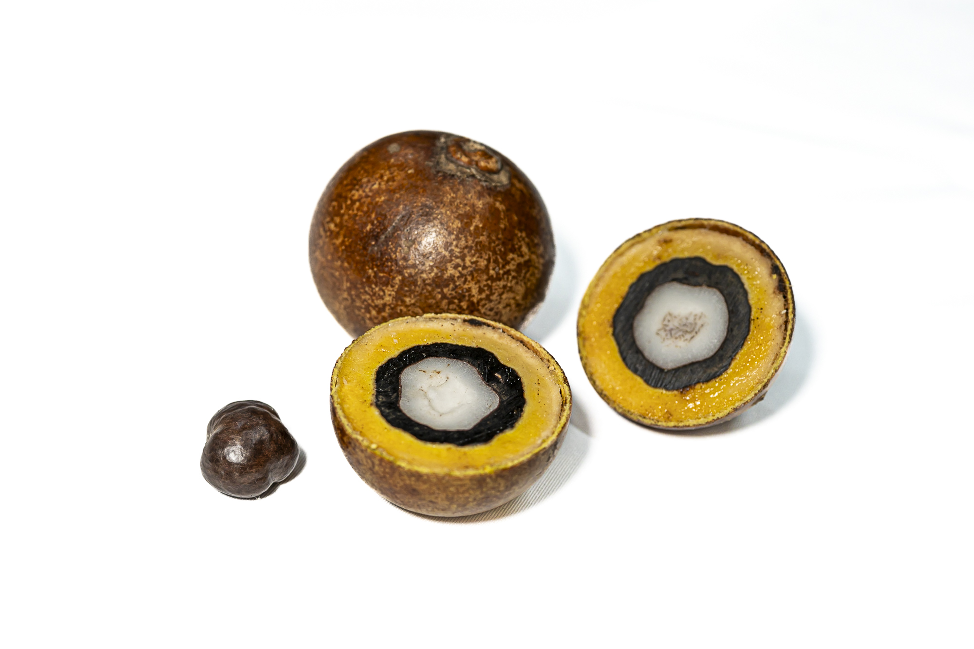 R$ 12 bilhões para produção de biocombustível de macaúba - Agribrasilis ...