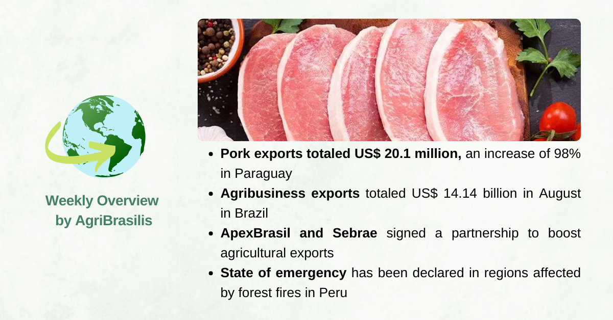 Pork Exports Totaled US$ 20.1 Million, an Increase of 98% in Paraguay ...