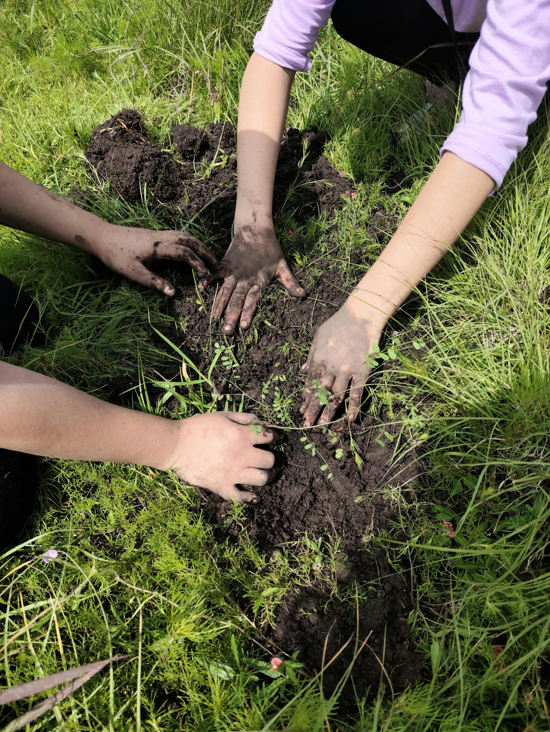 Soil Carbon: Why It Matters for Agriculture